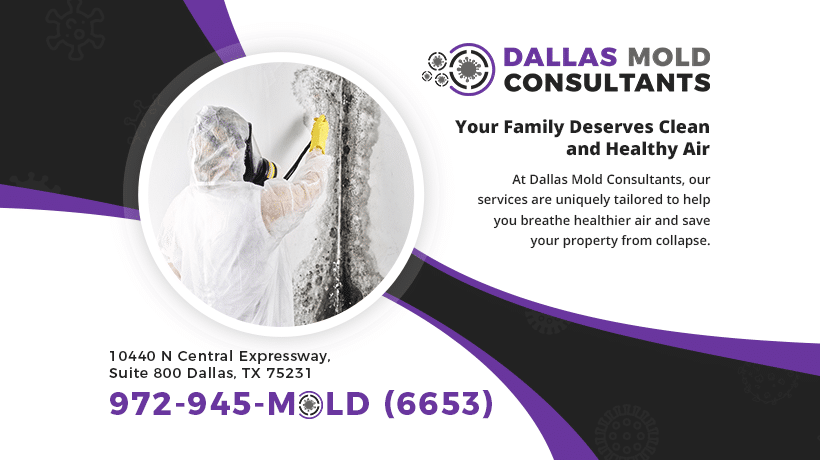 Dallas Mold Consultants | Mold Removal Service | Dallas, TX